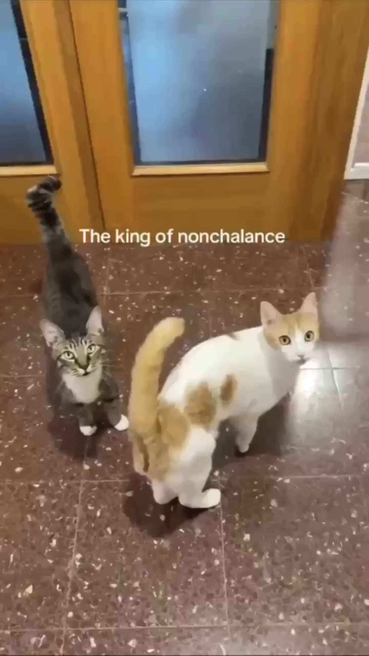 Два подхода к одной проблеме 😼