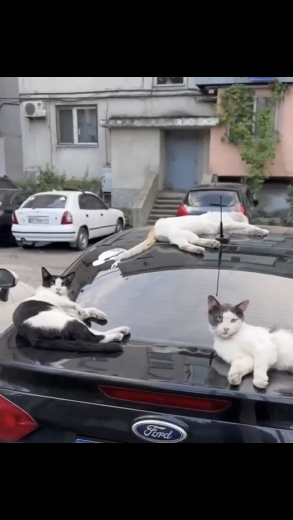 Машину уберите! 😾 Понаставили тут!