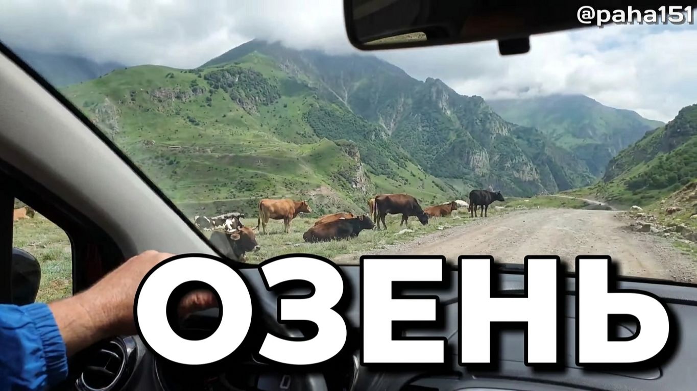 Покатушки Озень-Безенги // 22-я серия про отпуск 2025
