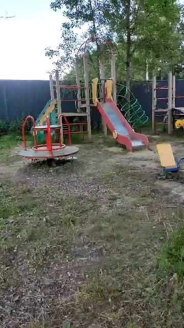 общение смешно цирк