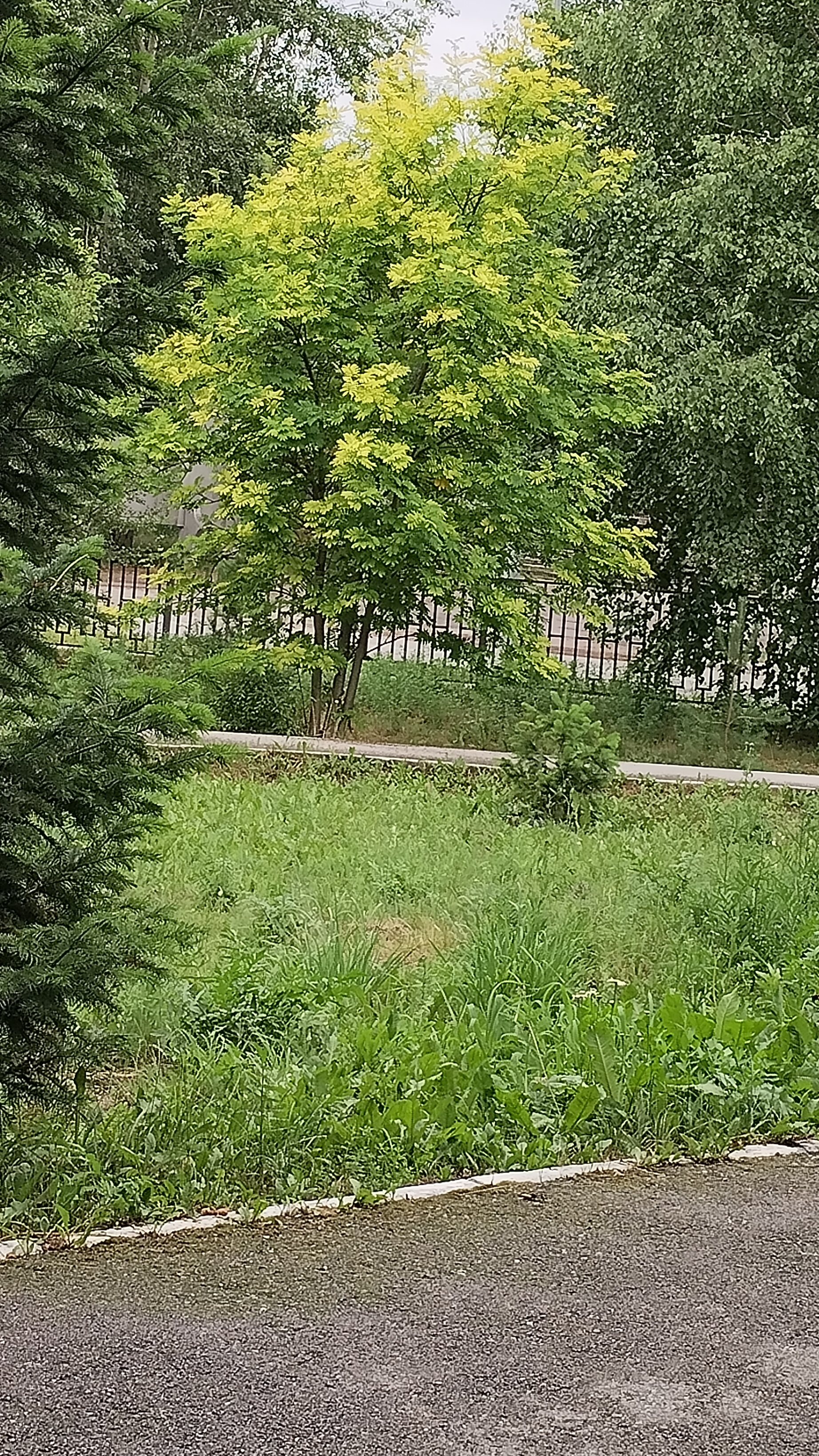 Верю в тебя всегда, ты мой  брат!  28-06-2026
