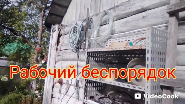 Прогулка по участку