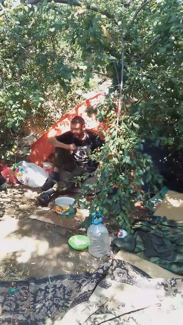 1m 55s_28.06.26_АНДРЕЙ ГОГИН: СОБАКА ЛИЗА БЛАГОДАРНА ДОБРЫМ ЛЮДЯМ ЕВПАТОРИЯ