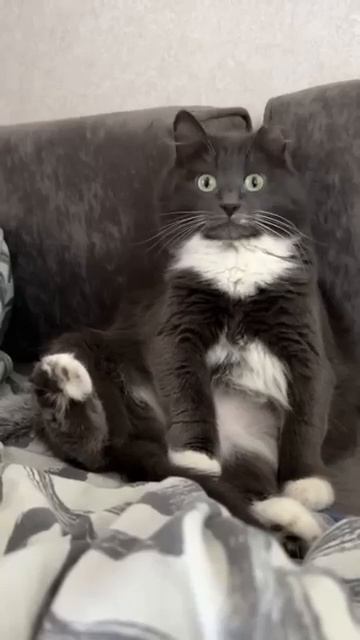 Вот это поворот..🙀