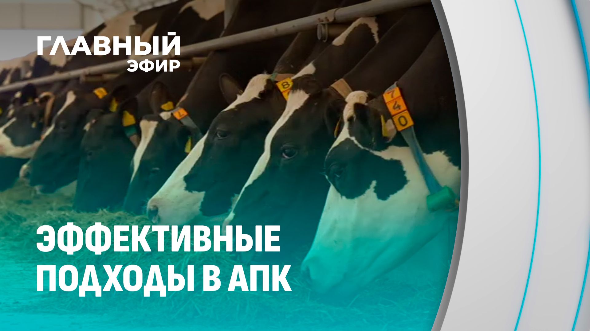 Уборка урожая и развитие животноводства: эффективные подходы в АПК Минской области. Главный эфир