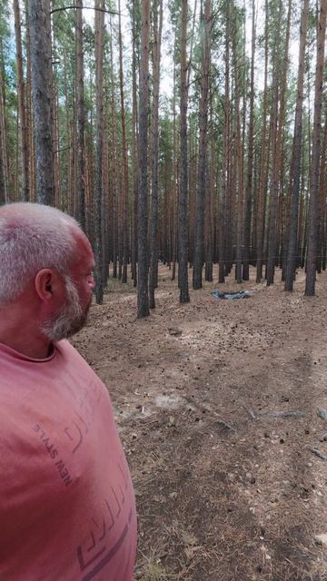 28 июня. India Forest Festival 2026. Начало.