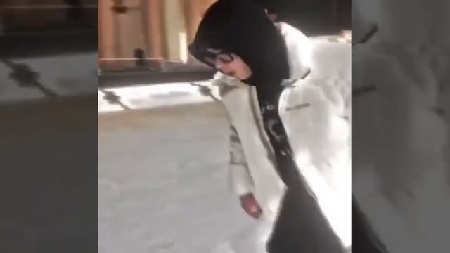 Эдит Toose