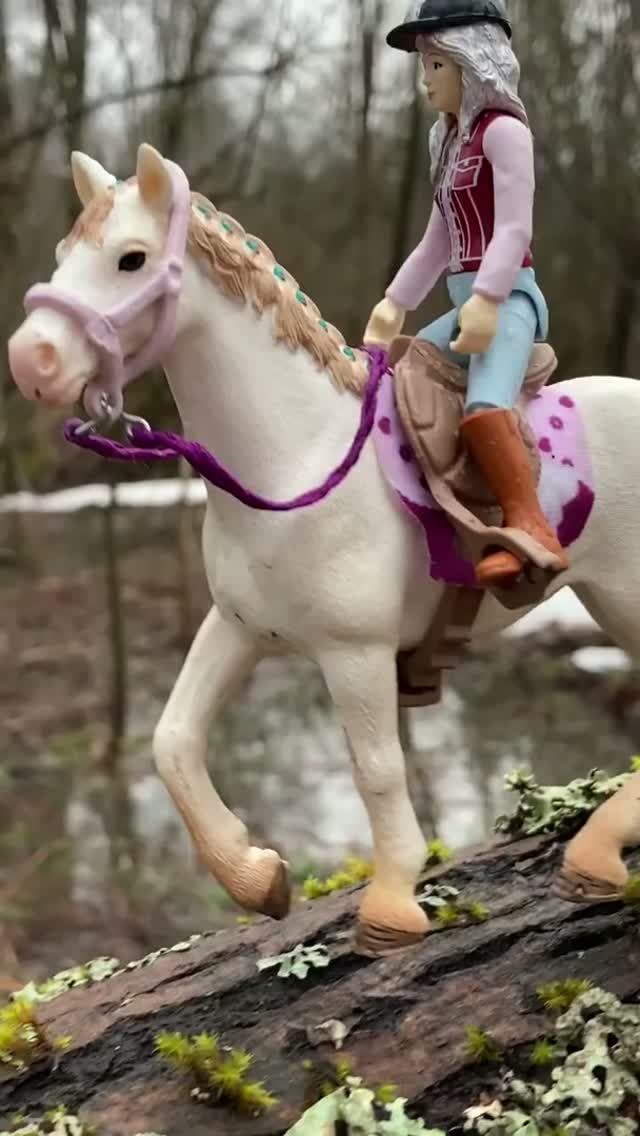 SCHLEICH ЛОШАДИ | Шляйх Блог. Россияна и Веня. Поездка на прогулку! 2 ЧАСТЬ