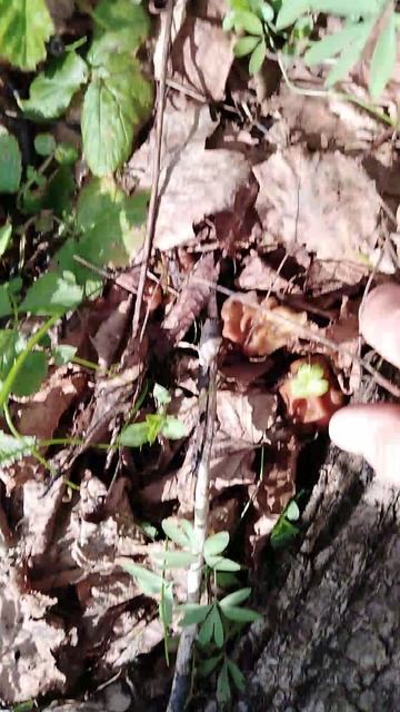✔Охота🔪 за строчками🍄 Часть 11✔