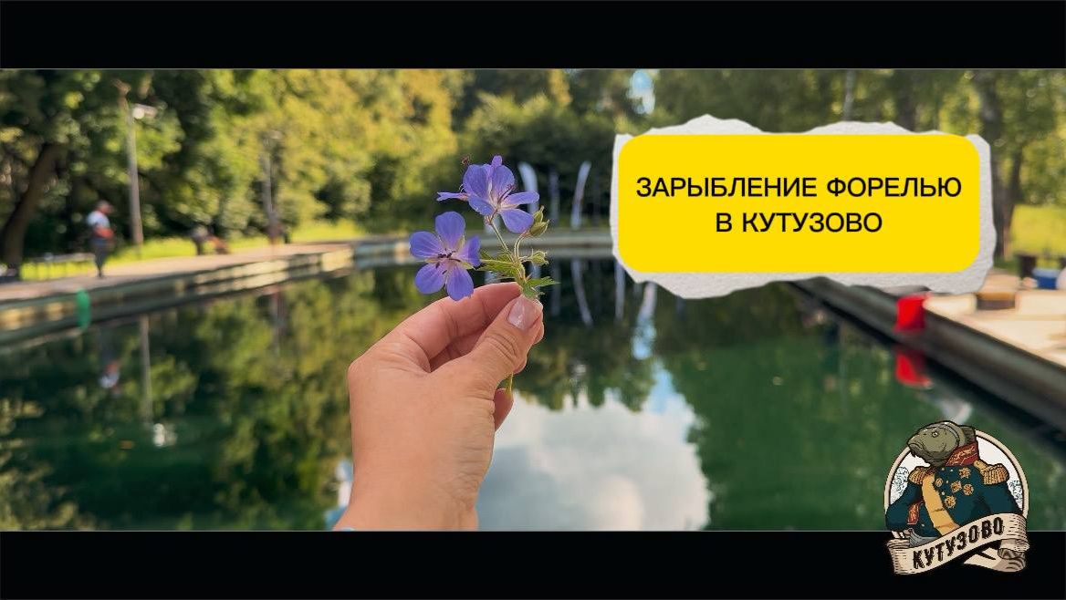 ЗАРЫБЛЕНИЕ ФОРЕЛЬЮ 28 июня 2026 г.
