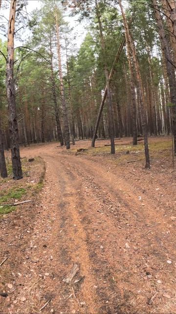 Разворачиваемся #велопоездка #велосипед #Тюмень