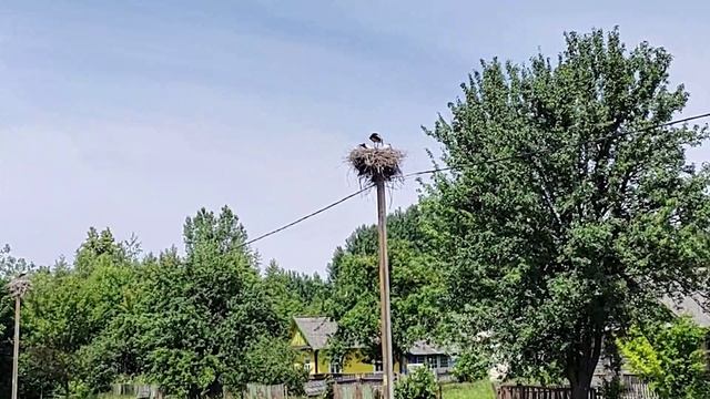 Путешествия