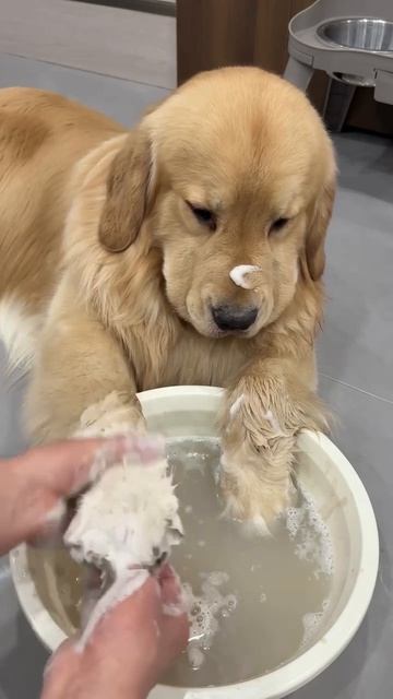 Водные процедуры