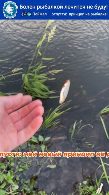 Поймал — отпусти: мой новый принцип на рыбалке! 🎣🐟