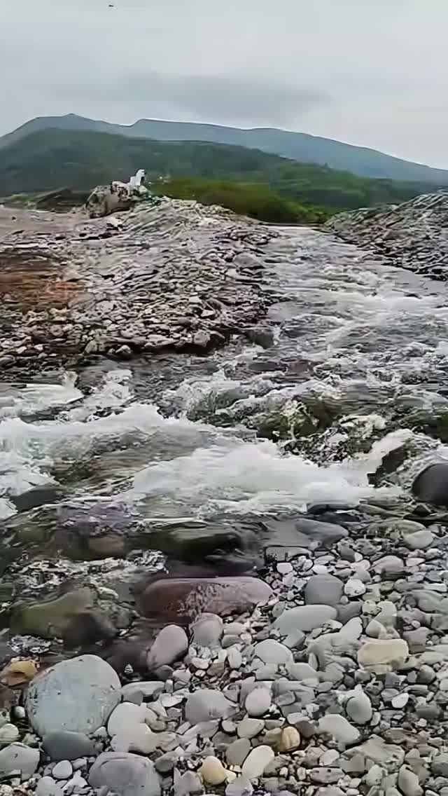 На острове Кунашир