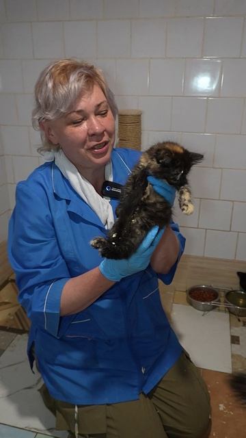 Котята Нюши ждут семью: чёрная пантера, ягуар и кошечка‑сова 😍🐾