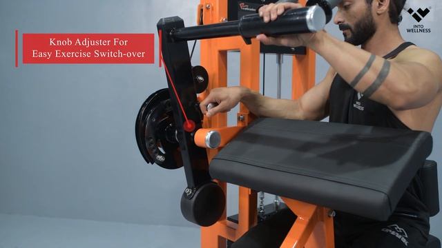 Бицепс трицепс сидя REALLEADER PF-1002