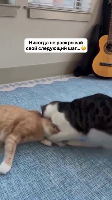 Внезапный