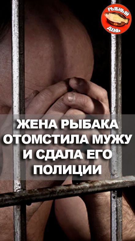 Рыбный День.