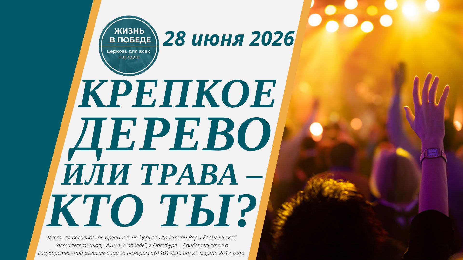 Крепкое дерево или трава – кто ты?