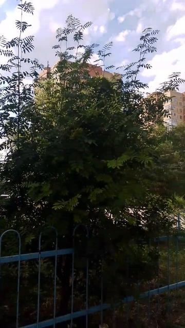 #московка #омск