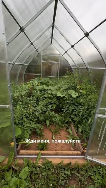 Как это называется? Напишите в комментариях👇