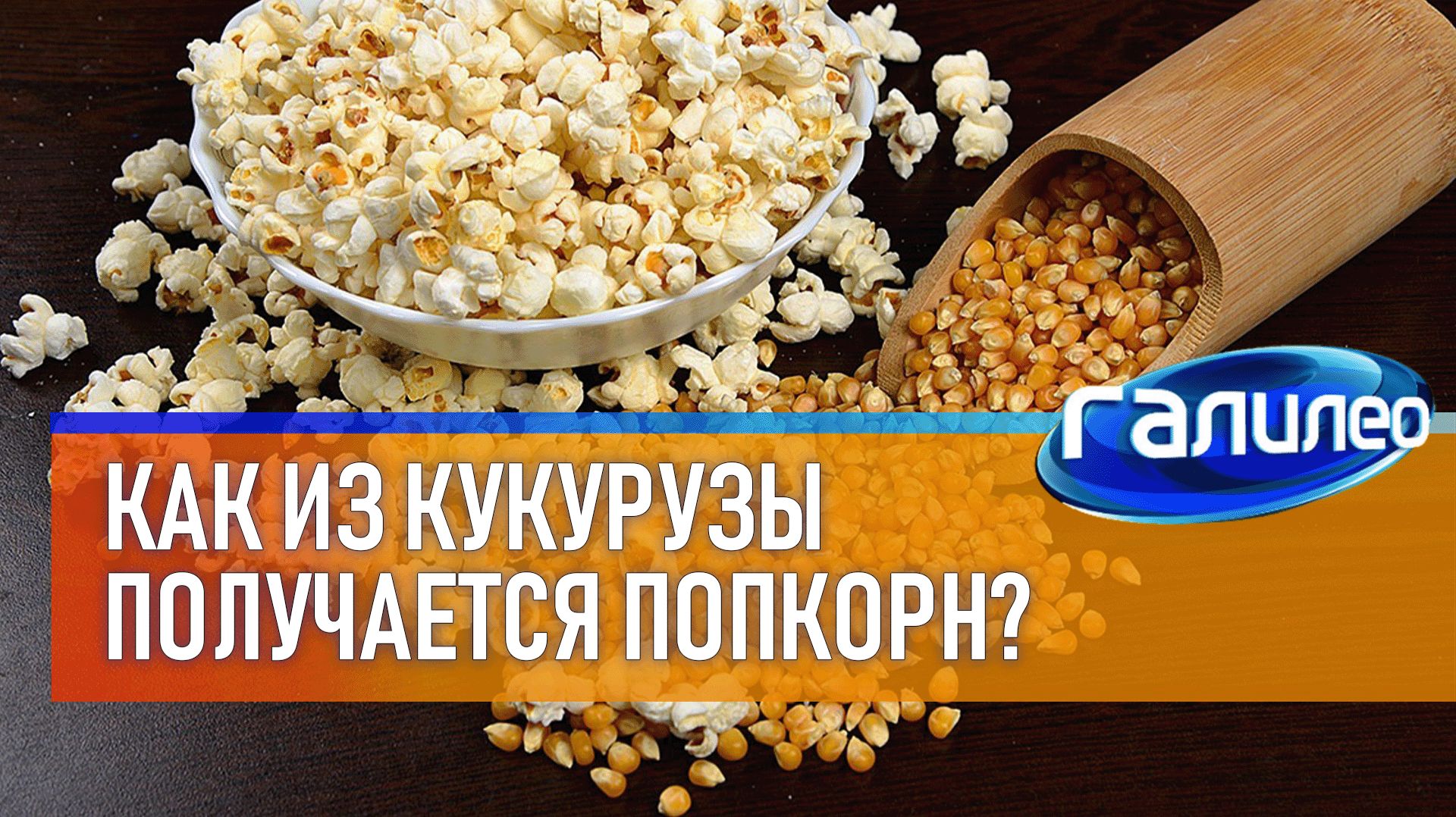 Галилео | Сезон 02