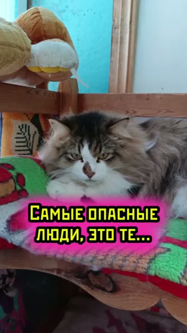 САМЫЕ ОПАСНЫЕ ЛЮДИ, ЭТО ТЕ...