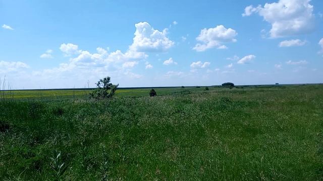 Турковский район)