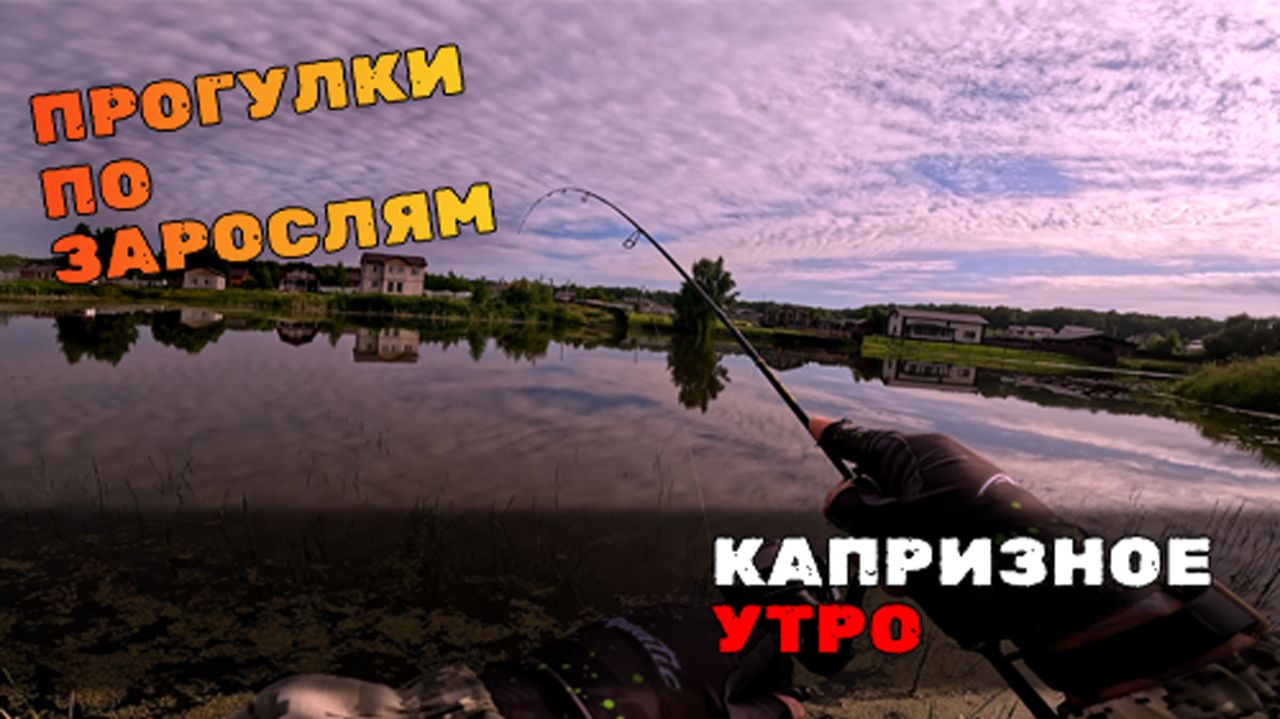 Видеоотчеты с рыбалок