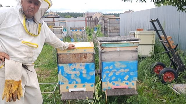 Плановое объединение семей через магазин