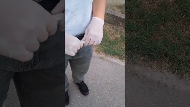4m 46s_10.06.26. АНДРЕЙ ГОГИН: ВЕТЕРИНАР ДАНИИЛ ДЕЛАЕТ ВАКЦИНУ ОТ БЕШЕНСТВА СОБАКЕ ЛИЗЕ. ЕВПАТОРИЯ