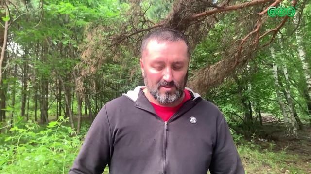 Более 30 кубометров древесины для участников СВО заготовили волонтеры из Башкирии