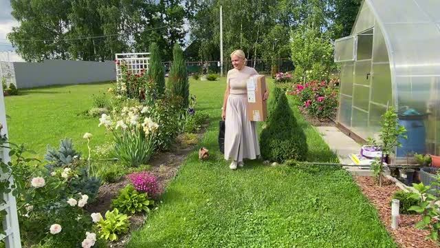 В деревню на дачу#Обзор сада#Пионы,ирисы,розы. Тля на яблонях и смородине. Обработала сад .19мая2026