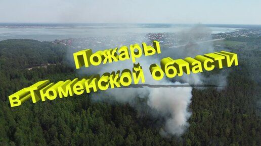 Пожары в Тюменской области. Съемка с квадрокоптера/Fires in the Tyumen region. Lake Andreevskoye