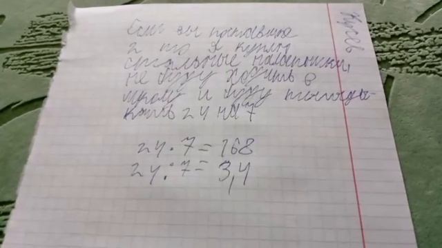 Если бы котики ходили в школу 2 пародия на kotinet