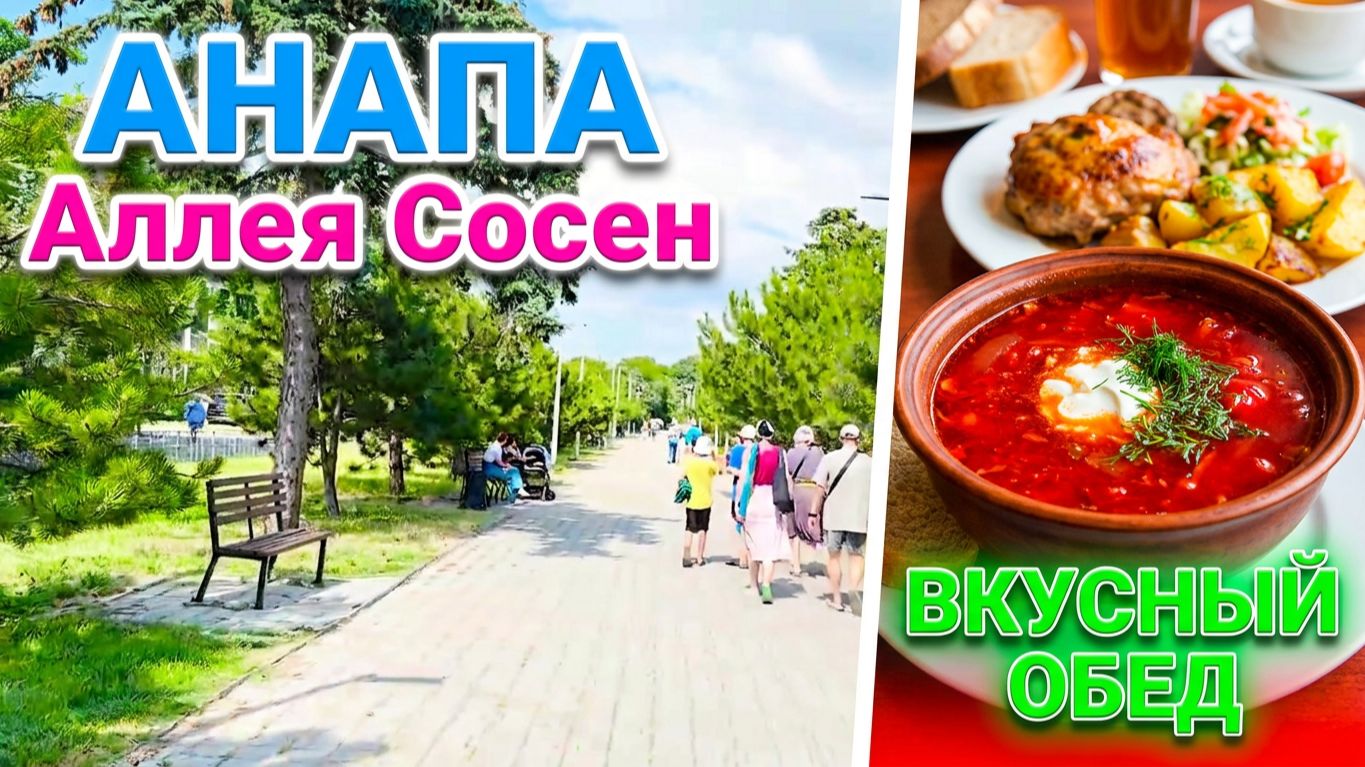 Анапа Высокий берег. Прогулка с галечного пляжа Высокий берег по Аллее сосен у проспекта Революции.
