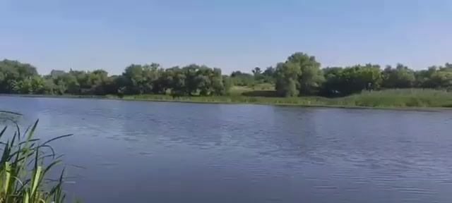 Официально Я. У МУЖА В ГОСТЯХ, ПРИРОДА СУПЕР