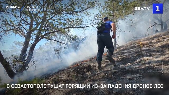 В Севастополе тушат горящий из-за падения дронов лес
