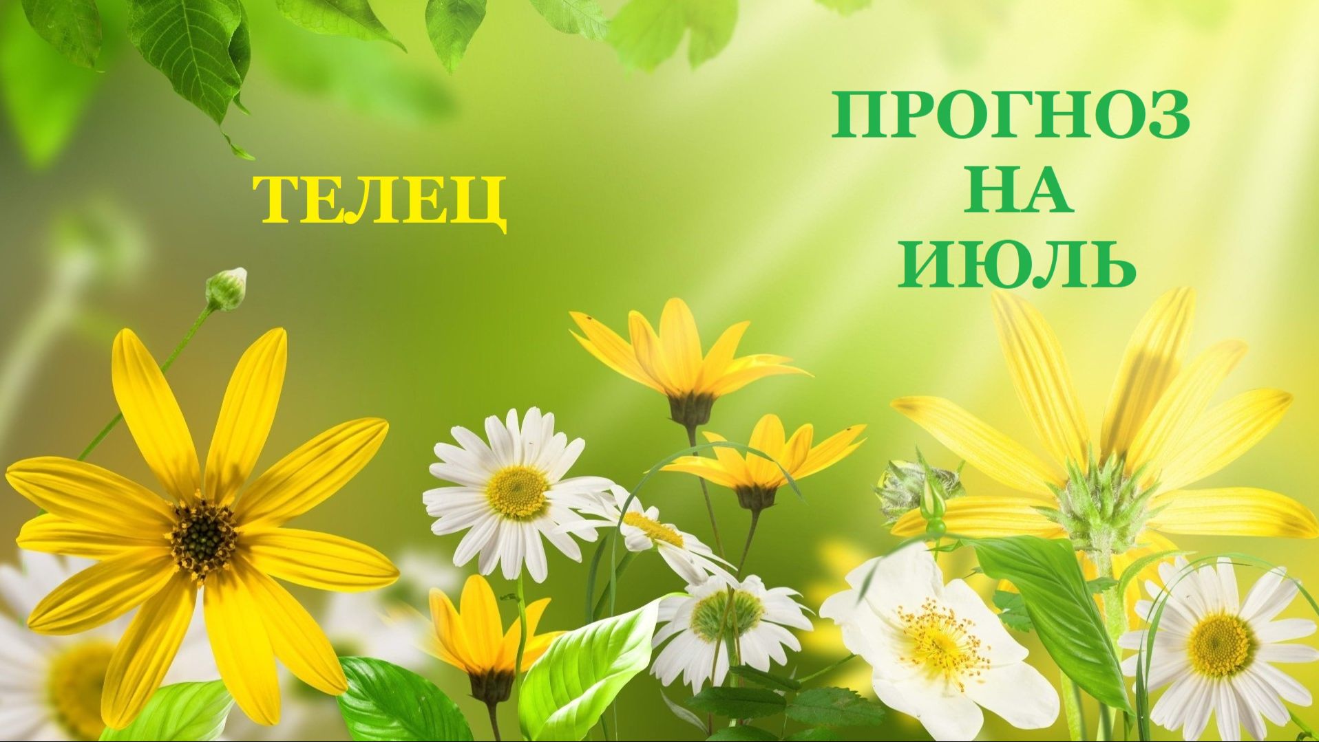 ПРОГНОЗ НА ИЮЛЬ ДЛЯ ТЕЛЬЦА