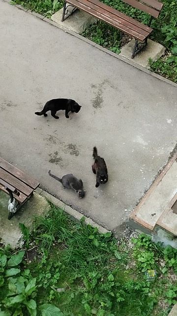 PXL_20260630_152415172