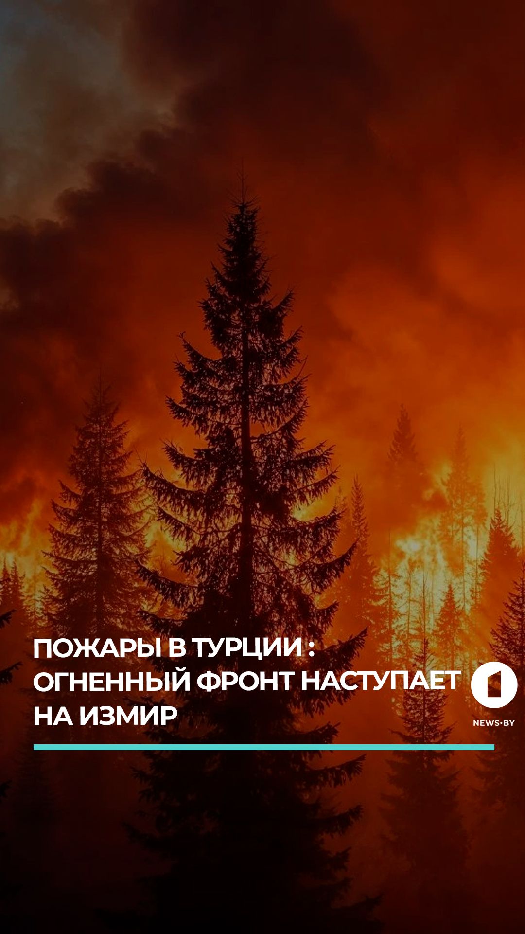В Турции лесные пожары подбираются к Измиру