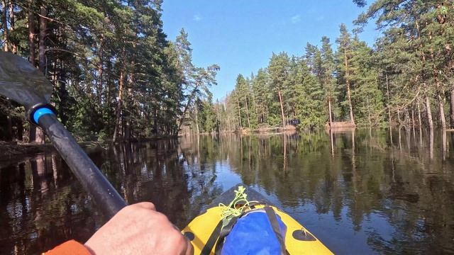 Музеи, выставки и прогулки Москва и МО