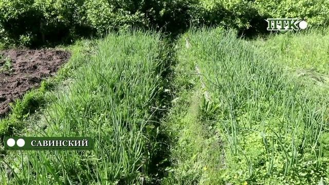 ПТК-Савинский от 23 июня