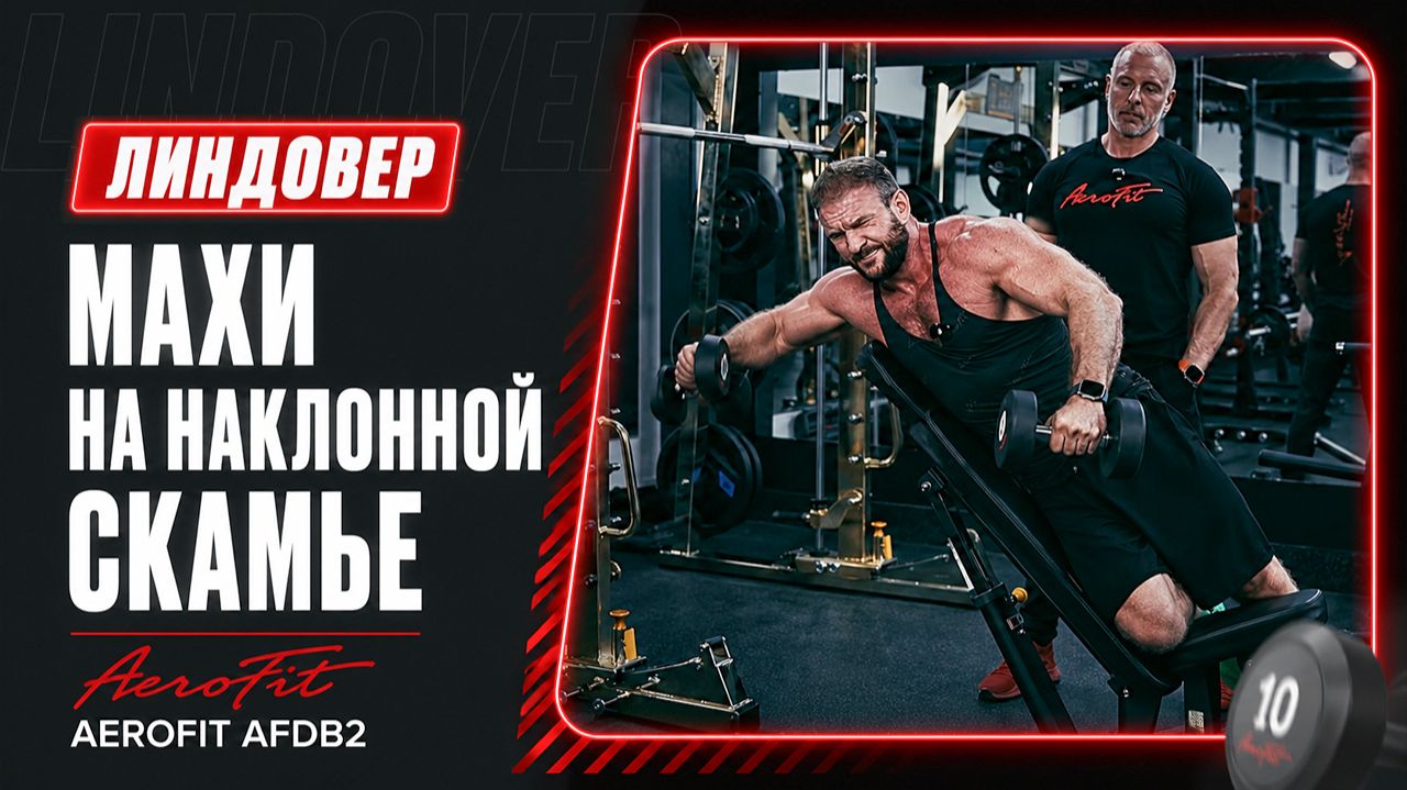Свободные веса (гантели, диски и пр.)