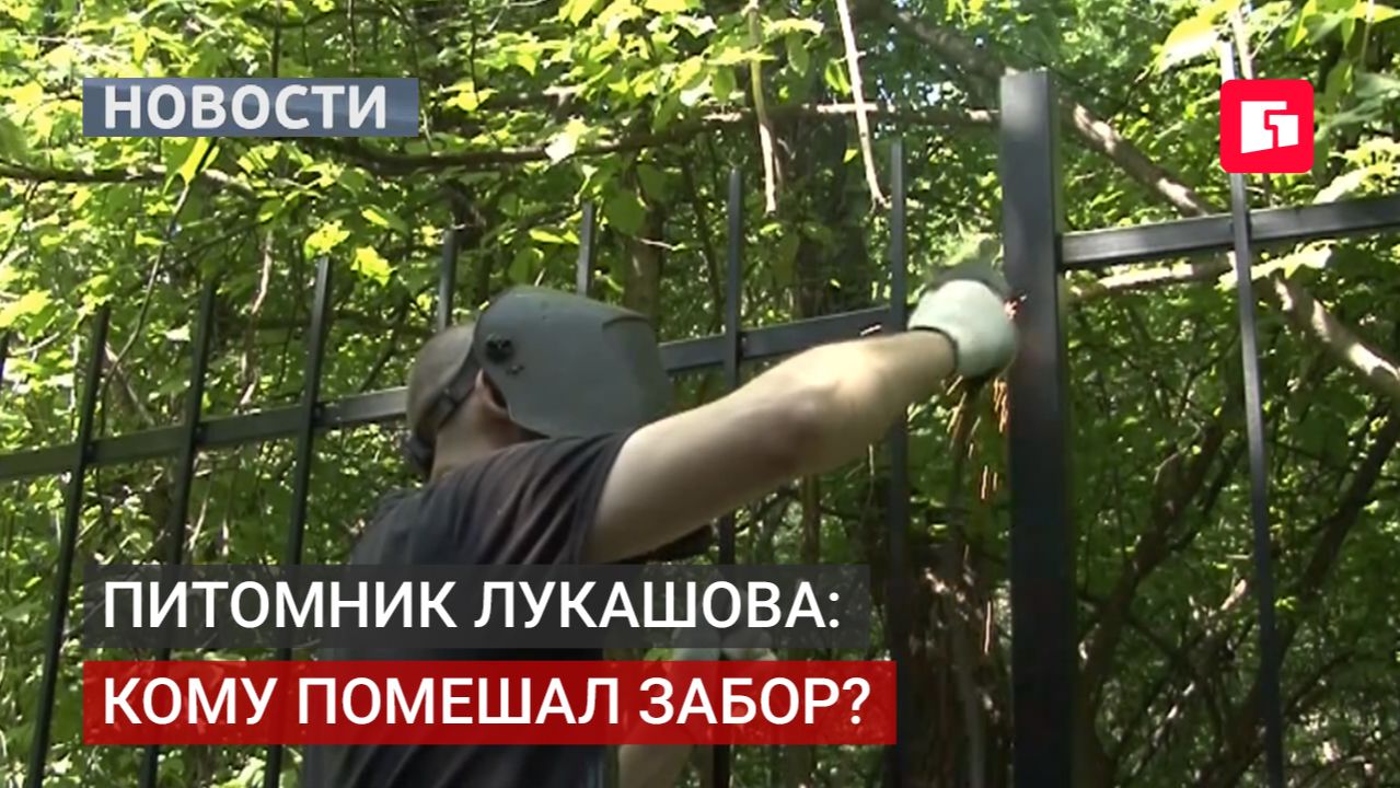 Забор в питомнике Лукашова: почему недовольны жители? 30/06/2026
