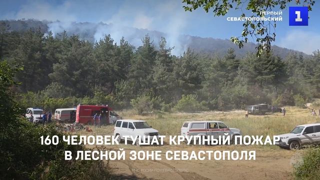 160 человек тушат крупный пожар в лесной зоне Севастополя