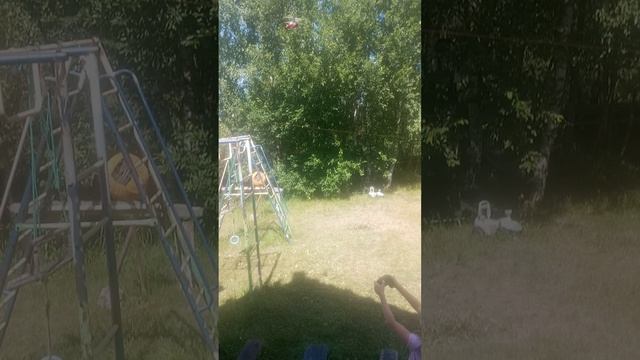 Cat стала лётчитцой