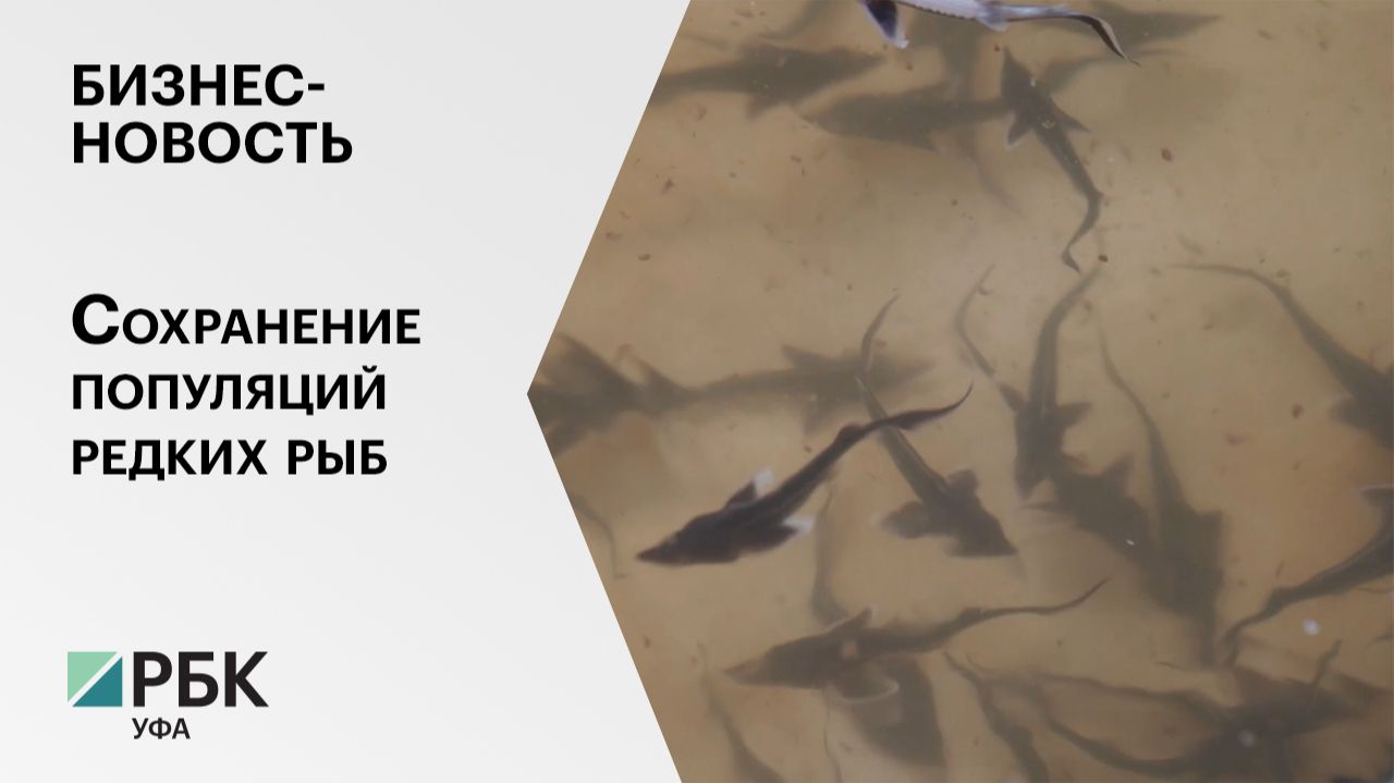 Партнерские проекты
