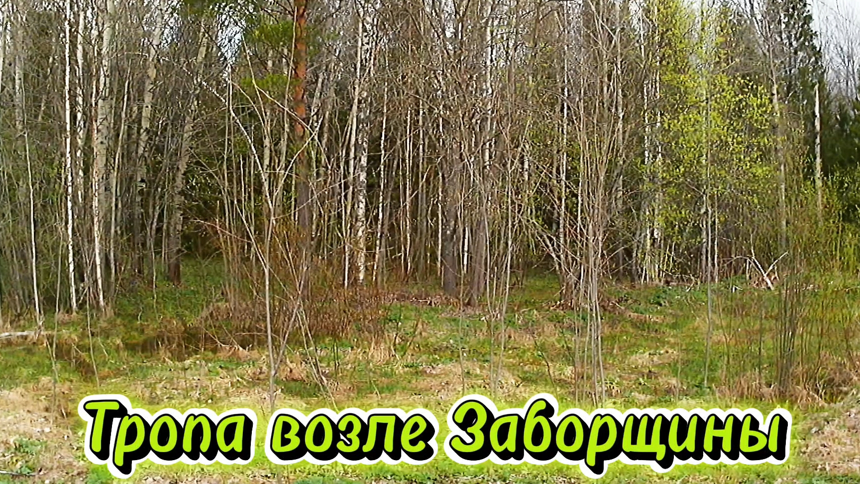Тропа у деревни Заборщина.mp4